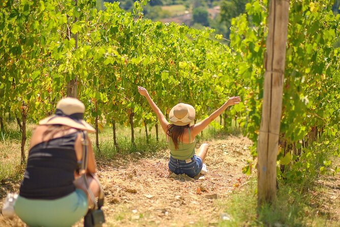 Half Day Chianti Vineyard Escape From Florence With Wine Tastings - Itinerary and Logistics