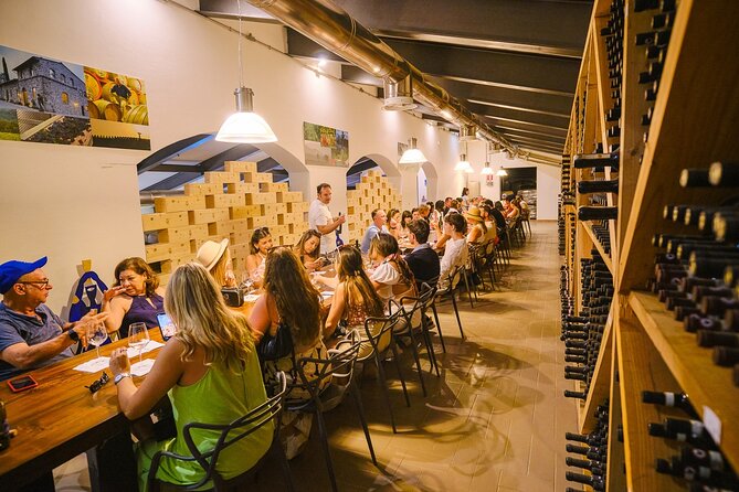 Half Day Chianti Vineyard Escape From Florence With Wine Tastings - Traveler Information and Recommendations