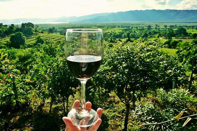 Half-Day Chianti Wine and Olive Oil Tour from Viareggio - Key Points