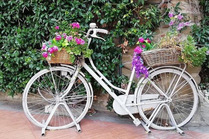 Half-Day Chianti Wine and Olive Oil Tour from Viareggio - Visiting the Winery: Sipping and Snacking in Style