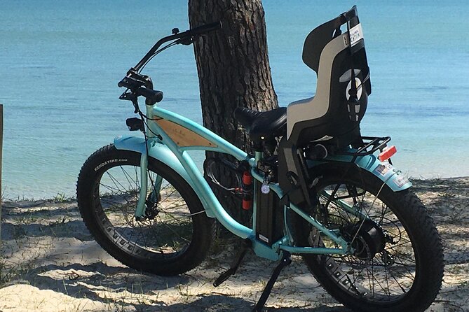 Half Day Circuit in Electric Fatbike Guided by GPS - Experiencing the Beautiful Nature