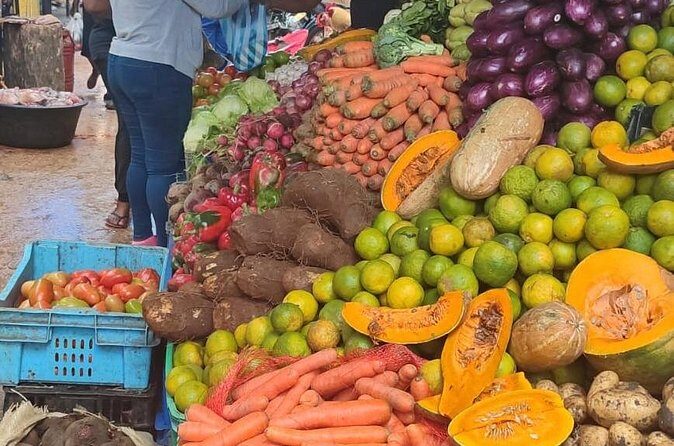 Half-day City tour cultural from punta cana for small group - Final Thoughts