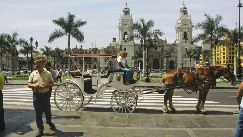 Half-day City Tour from Lima - Who Will Enjoy This Tour?