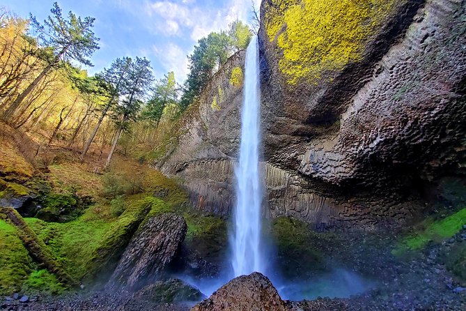 Half Day Columbia River Gorge Waterfalls Tour - Guest Reviews