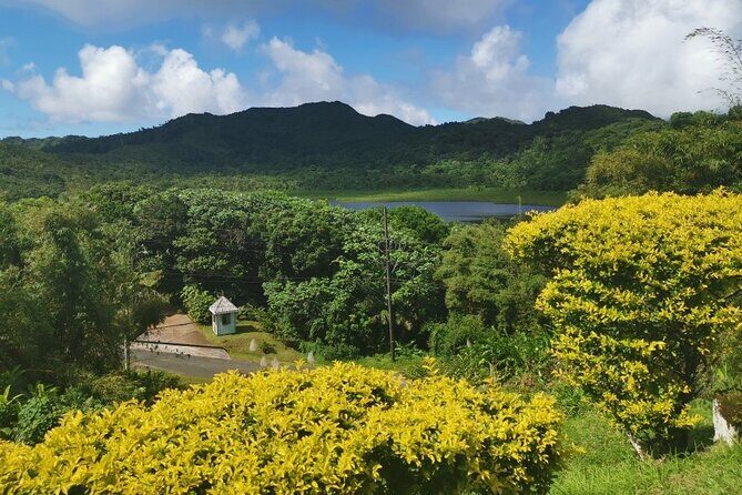 Half-Day Concord Waterfall and Chocolate Factory Tour - The Sum Up: Is This Tour Right for You?