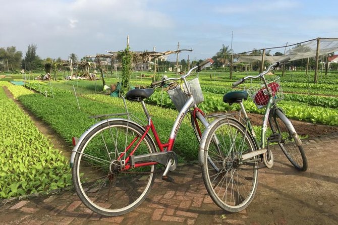Half Day Cooking Class At Tra Que Vegetable Village Hoi An - Exploring the Itinerary in Detail