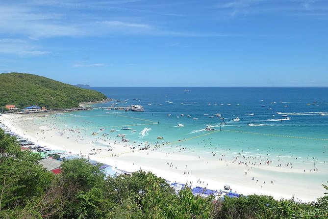 Half-day Coral Island Join Tour with Lunch from Pattaya - Price and Value