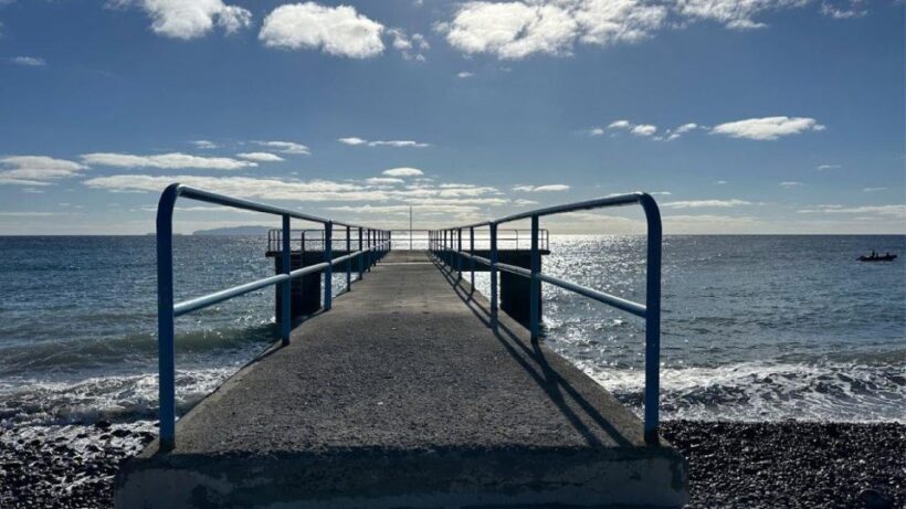 Half-Day Country Market Tour on Madeira Island - An In-Depth Look at the Tour Experience