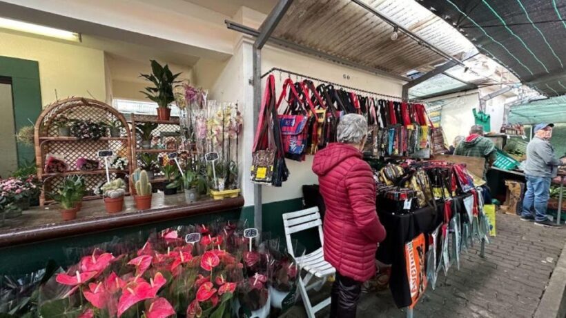Half-Day Country Market Tour on Madeira Island - Who Should Consider This Tour?
