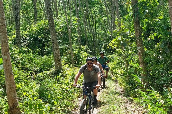Half-Day Countryside Cycling Small-group Tour in Phuket - What’s Included and What to Expect