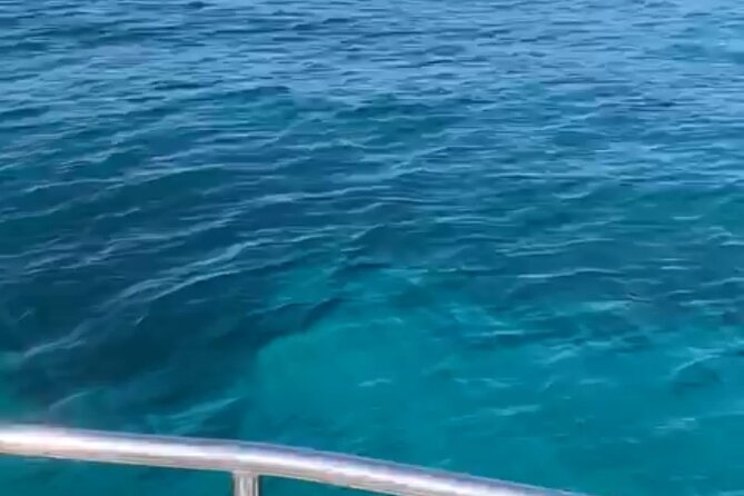 Half-Day Cruise / Navigation to the Lerins Islands - Recommendations and Highlights