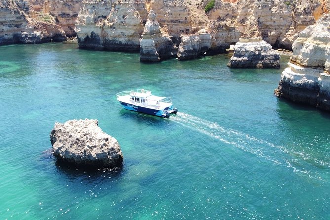 Half Day Cruise to Ponta da Piedade with Lunch and Drinks - Who Should Consider This Tour?