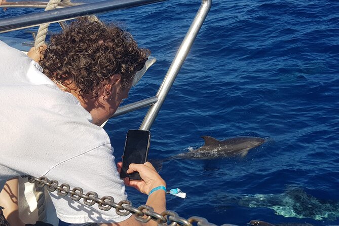 Half-Day Cruise Tour-Dolphin and Whale Watching - Included Features