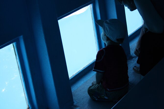 Half-Day Cruise Tour-Dolphin and Whale Watching - Meeting and Pickup Arrangements