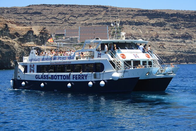 Half-Day Cruise Tour-Dolphin and Whale Watching - Accessibility and Policies