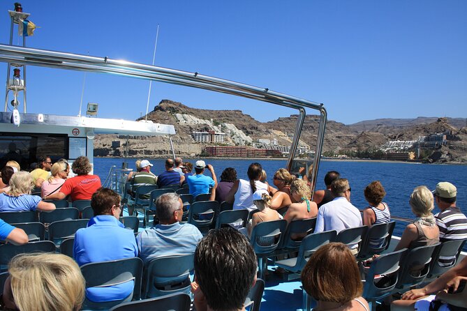 Half-Day Cruise Tour-Dolphin and Whale Watching - Booking and Payment Options