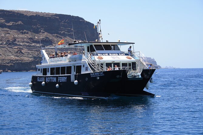 Half-Day Cruise Tour-Dolphin and Whale Watching - Highlights and Expectations
