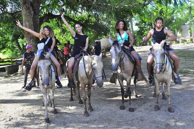 Half-Day Cultural Safari - The Itinerary in Detail