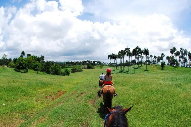 Half-Day Cultural Safari - Who Will Love This Tour?