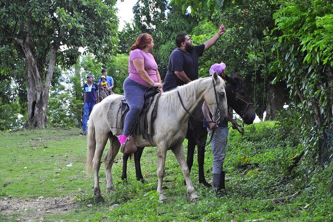 Half-Day Cultural Safari - FAQ