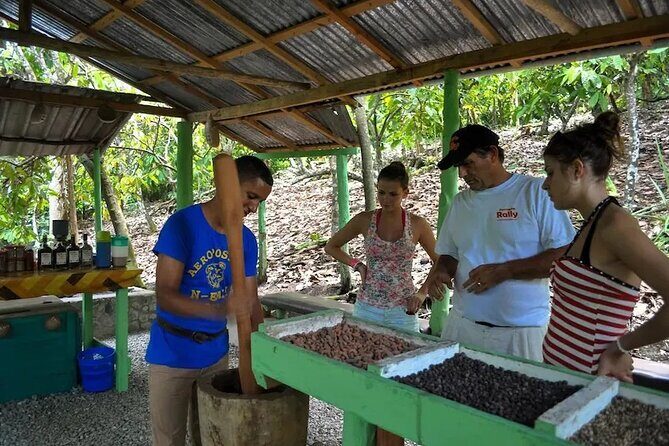 Half-Day Cultural Safari Tour from Punta Cana - FAQs