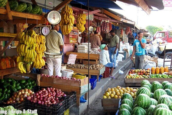 Half-Day Cultural Safari Tour from Uvero Alto - Key Points