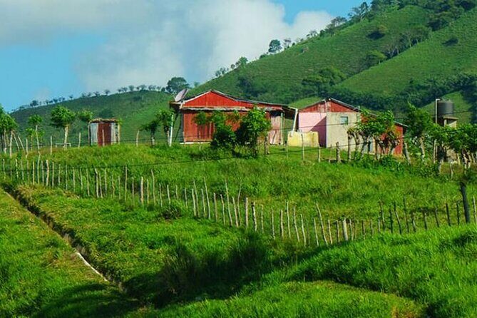 Half-Day Cultural Safari Tour from Uvero Alto - The Itinerary Breakdown: What to Expect