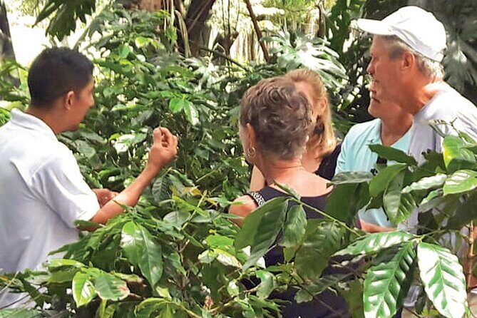 Half-Day Cultural Safari Tour from Uvero Alto - The Sum Up