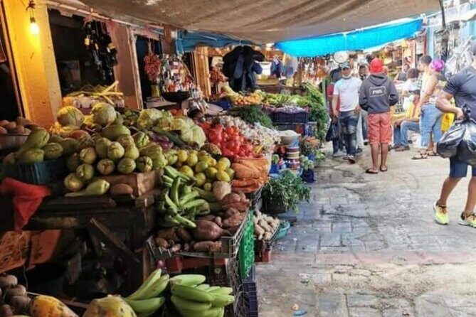Half-day Cultural Tour in the City of Higüey - The Sum Up
