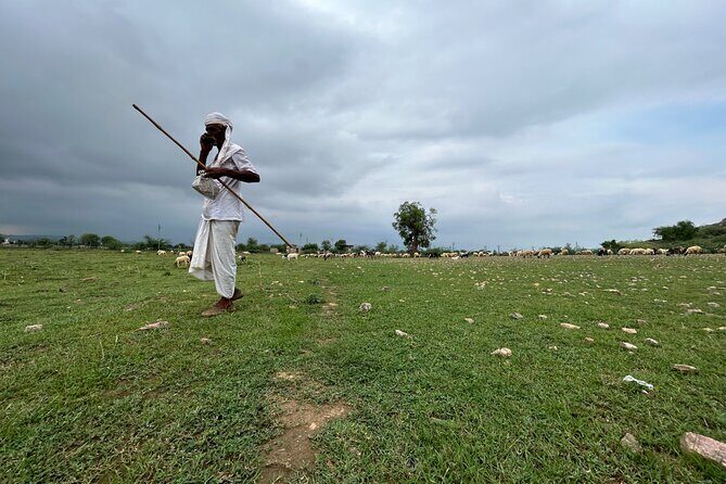 Half-Day Cultural Village Jeep Safari in Jaipur - The Sum Up