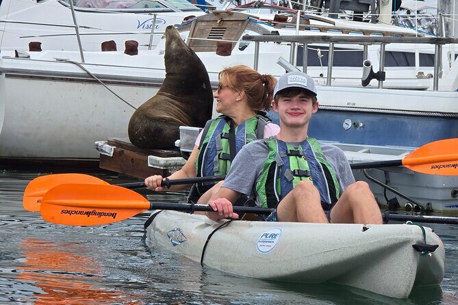 Half Day Dana Point Kayak and Hike - Key Points