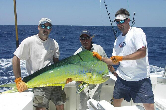 Half-Day Deep Sea Fishing Excursion Departing sosua - Key Points
