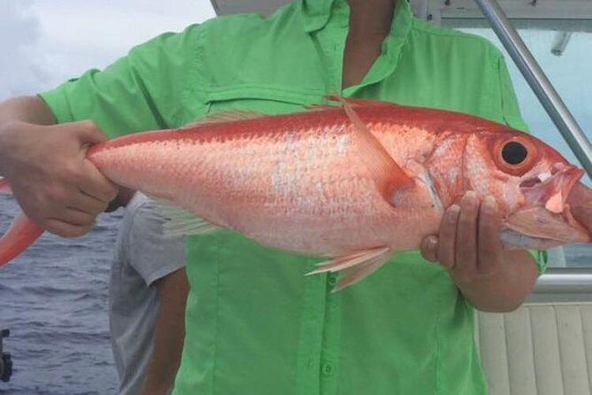 Half day Deep sea/light tackle fishing charters - The Basics of the Nassau Deep Sea Fishing Experience