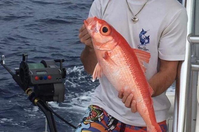 Half day Deep sea/light tackle fishing charters - The Value Proposition and Who Will Appreciate This Trip