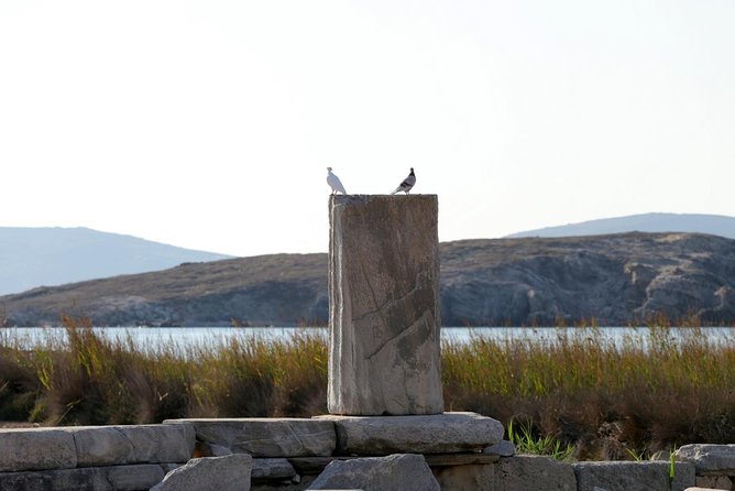 Half-Day Delos Tour From Mykonos - Meeting and Pickup Location