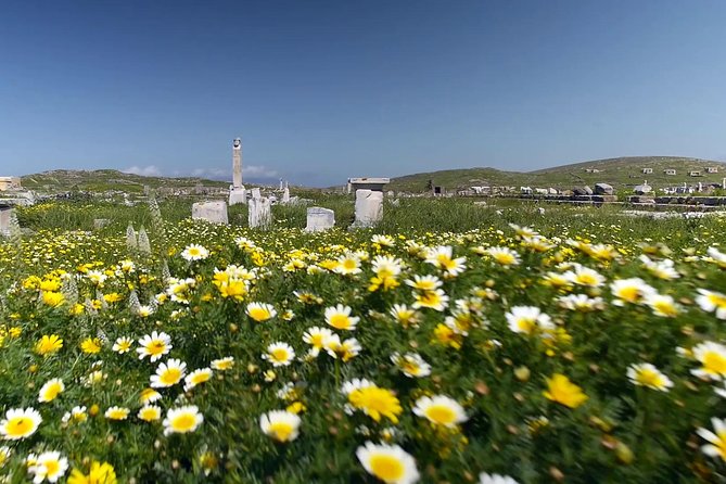 Half-Day Delos Tour From Mykonos - Physical Requirements and Recommendations