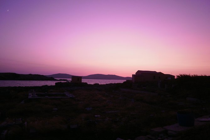 Half-Day Delos Tour From Mykonos - Customer Feedback and Experiences