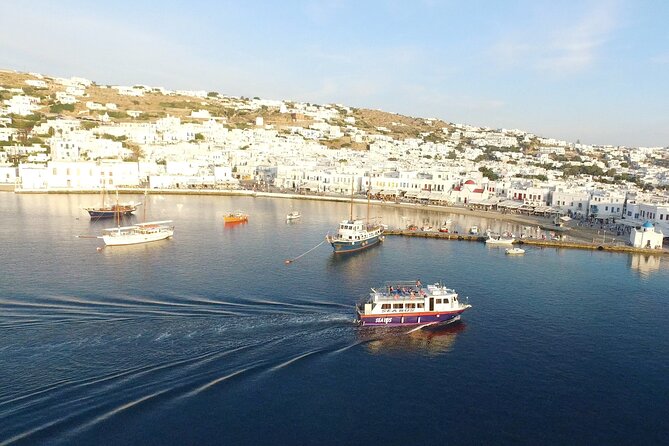 Half Day Delos Tour of Mykonos from the Cruise Ship Port - What Travelers Say
