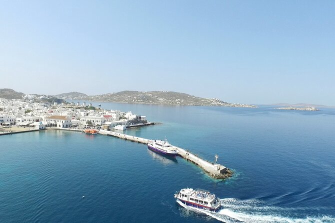 Half Day Delos Tour of Mykonos from the Cruise Ship Port - Who is This Tour Best For?