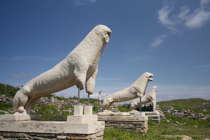 Half Day Delos Tour of Mykonos from the Cruise Ship Port - The Sum Up