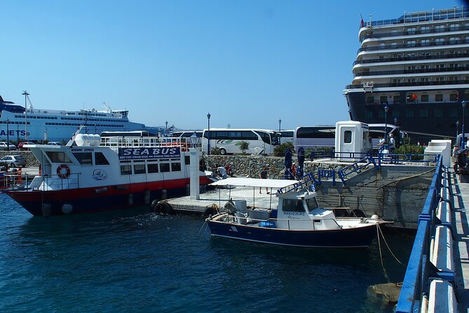 Half Day Delos Tour of Mykonos from the Cruise Ship Port - FAQ