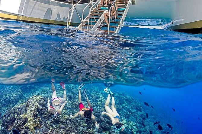 Half-Day Deluxe Molokini Snorkel Excursion in Maui - Booking Your Adventure