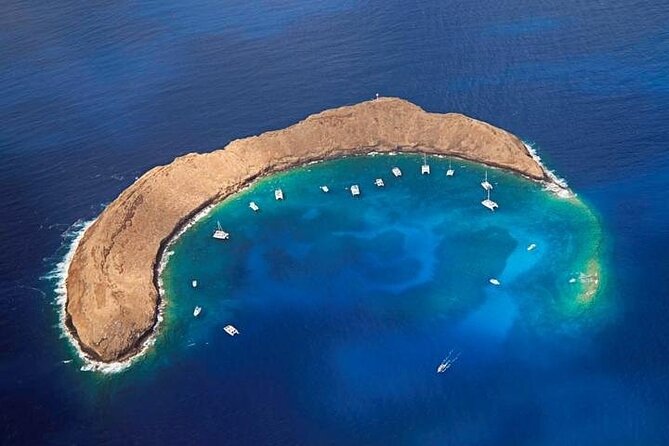 Half-Day Deluxe Molokini Snorkel Excursion in Maui - Frequently Asked Questions