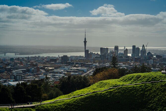 Half-day Discover Auckland City Sightseeing Tour - Why Choose the Half-day Auckland Tour?