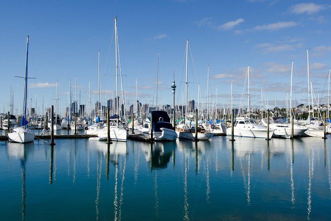 Half-day Discover Auckland City Sightseeing Tour - FAQs