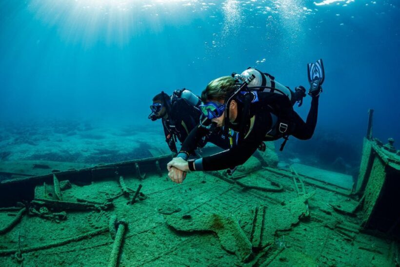 Half Day Dive Trip for Certified Divers - What’s Included and What You Need to Know