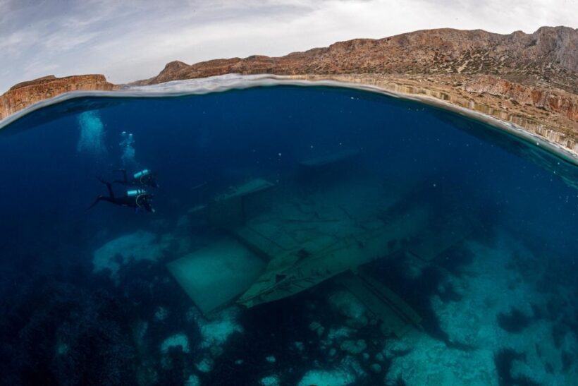 Half Day Dive Trip for Certified Divers - Authentic Experiences from Fellow Travelers