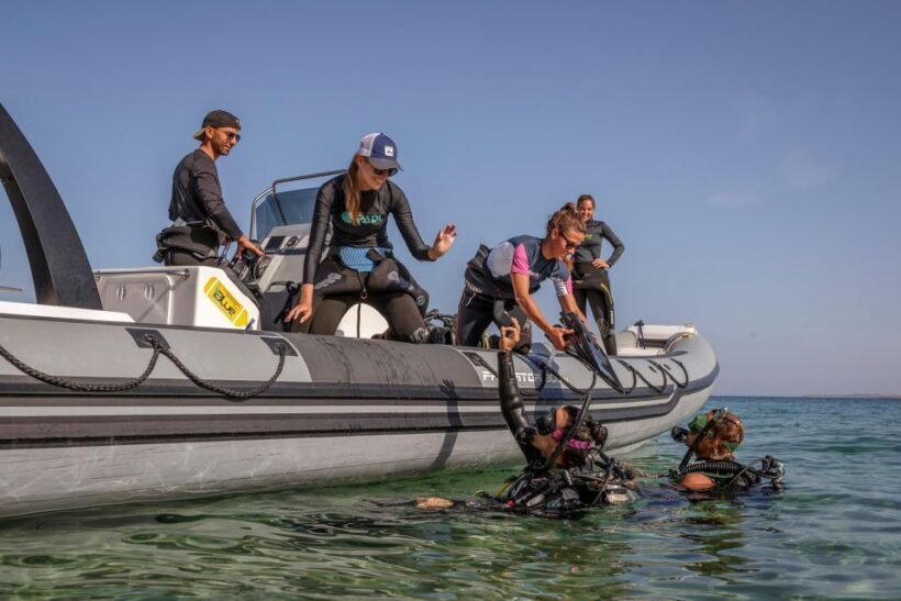 Half Day Dive Trip for Certified Divers - Who Will Love This Tour?