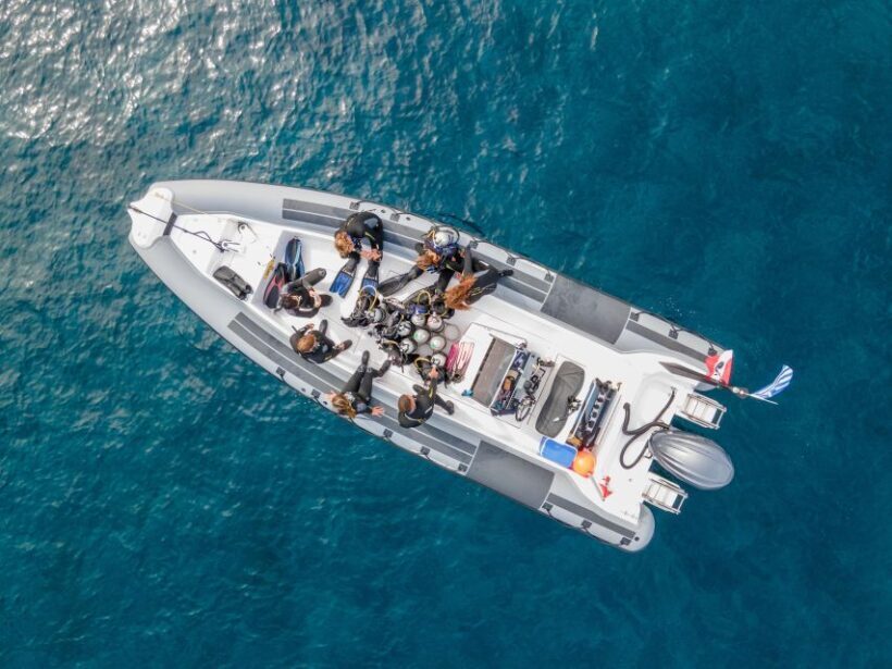 Half Day Dive Trip for Certified Divers - Final Thoughts: Is This the Right Dive Experience for You?