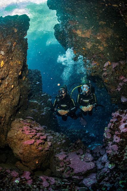 Half Day Dive Trip for Certified Divers - FAQ